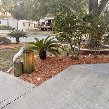 Beautiful Shaded RV Lot In Natures Coast Landing RV Resort Lot 209 - RV ...