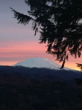 Lake Merwin Campers Hideaway Cabin - RV lot for sale in Amboy, WA 645864